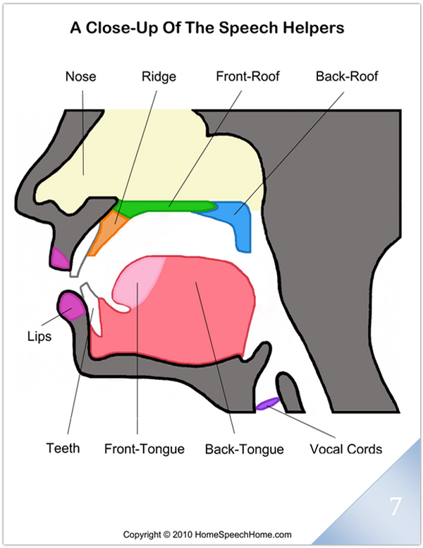 Teach the S Sound – HomeSpeechHome